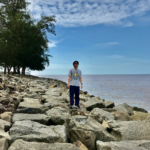 Saiz standard kayu, papan dan plywood